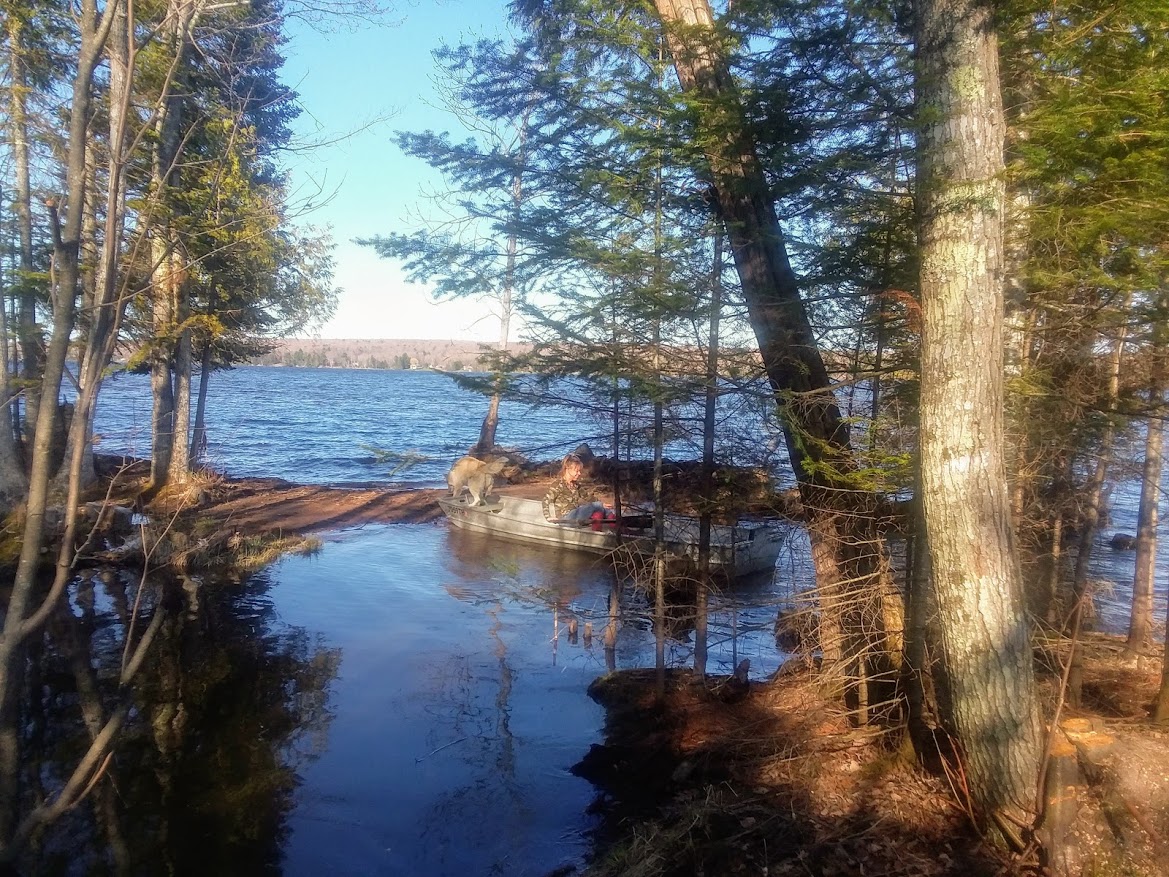 Seeking Peace, Hearing Gunshots – For Many Moons