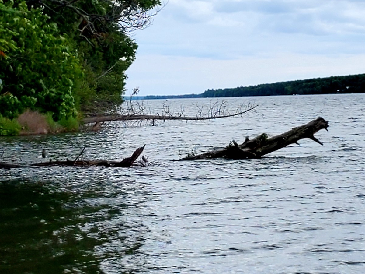 High Water – The Seiche Effect – For Many Moons