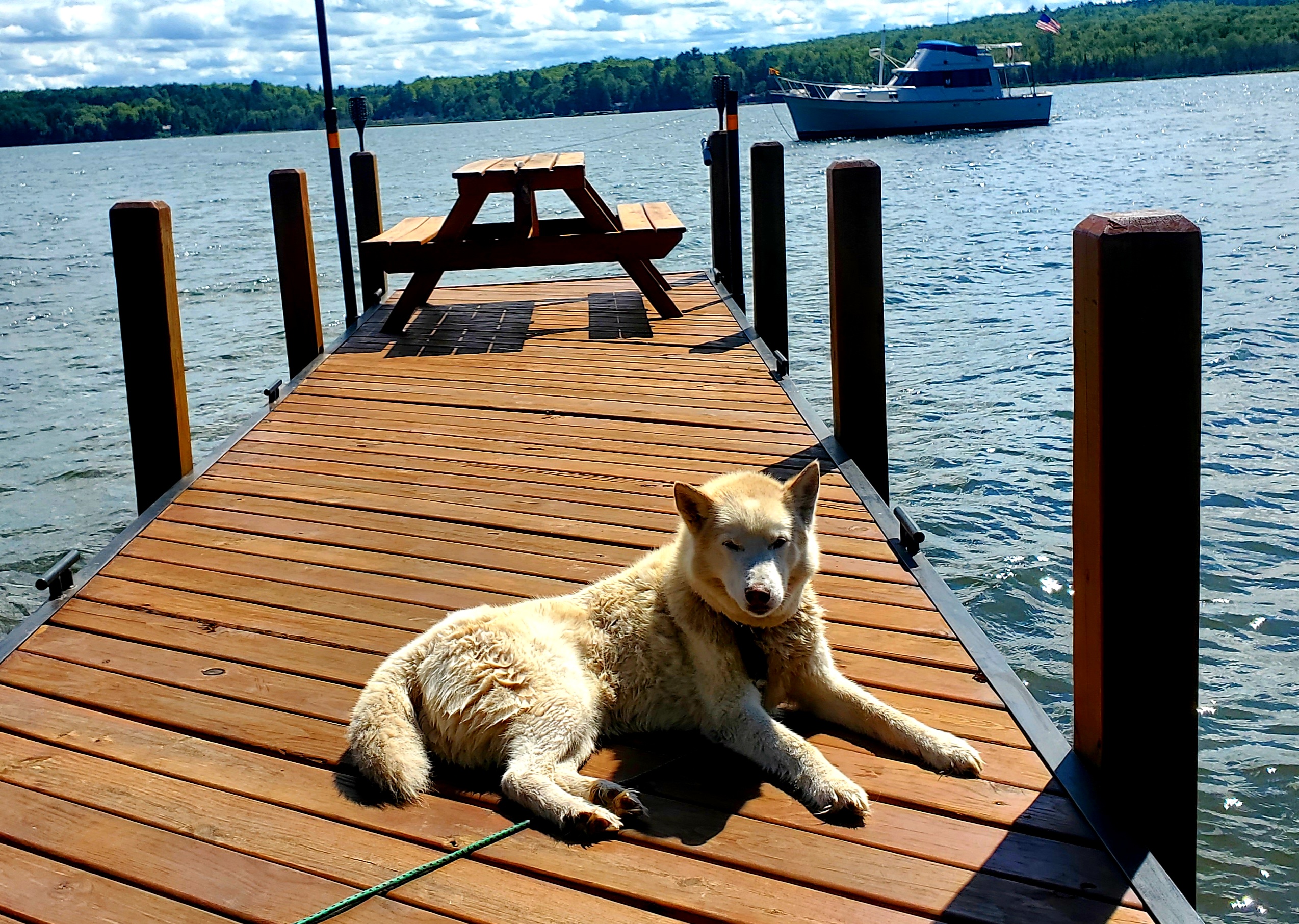 By The Numbers: Many Moons On “The Loop” – For Many Moons