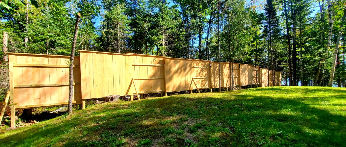 The Fence – For Many Moons