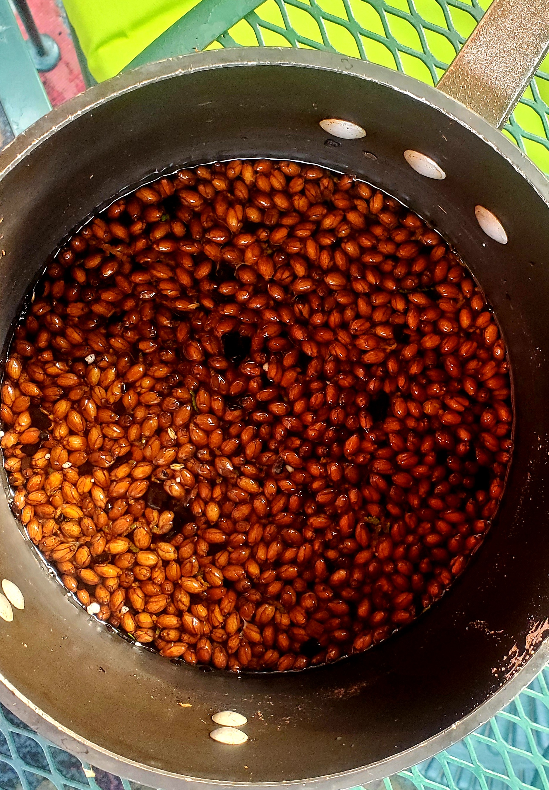 Harvesting Seeds – For Many Moons