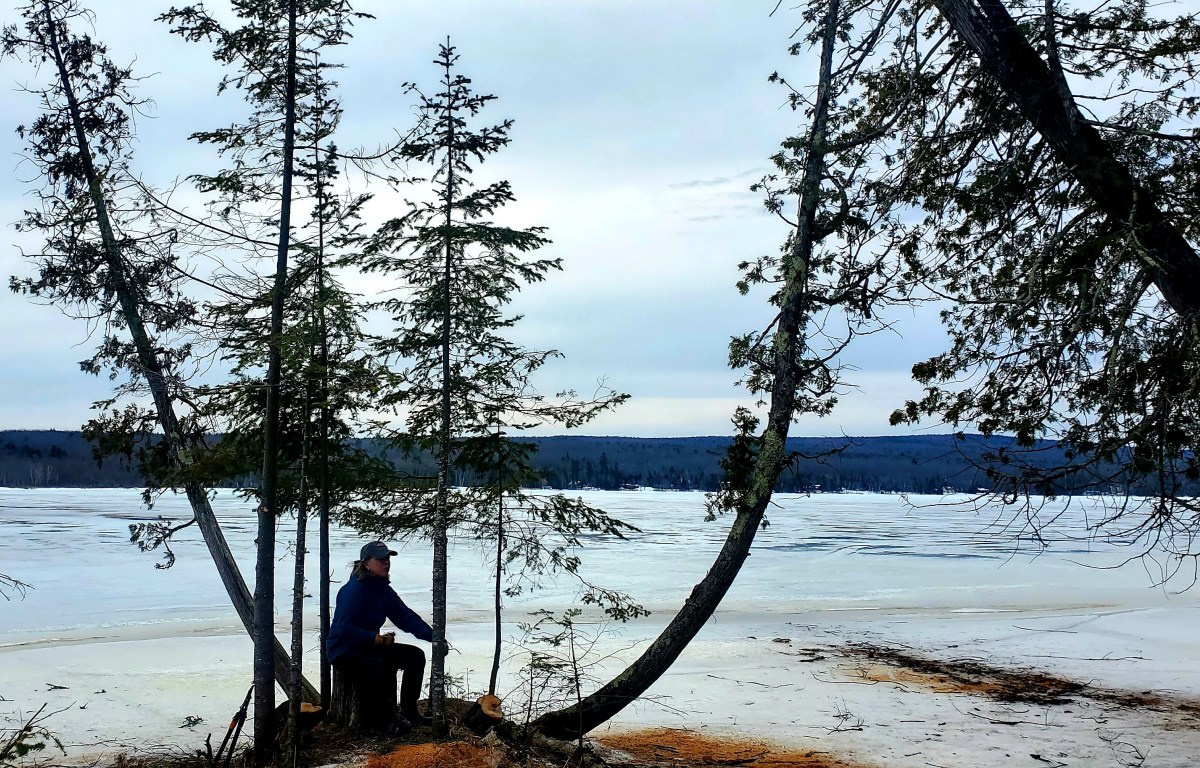 Cutting Out The Deadwood – For Many Moons