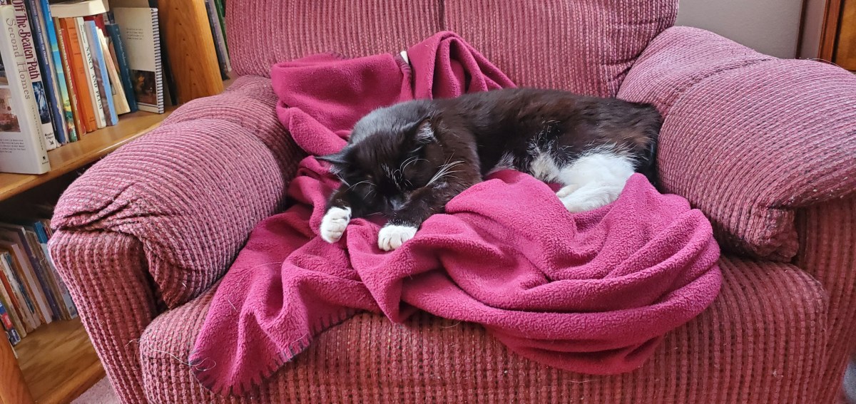 ‘Bye, Mom…. – For Many Moons