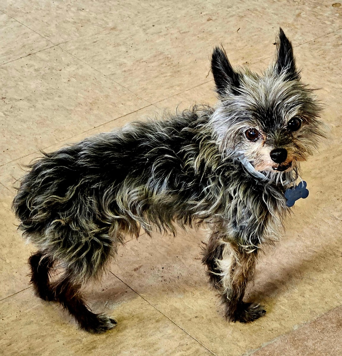 A Visit to The Pit – For Many Moons