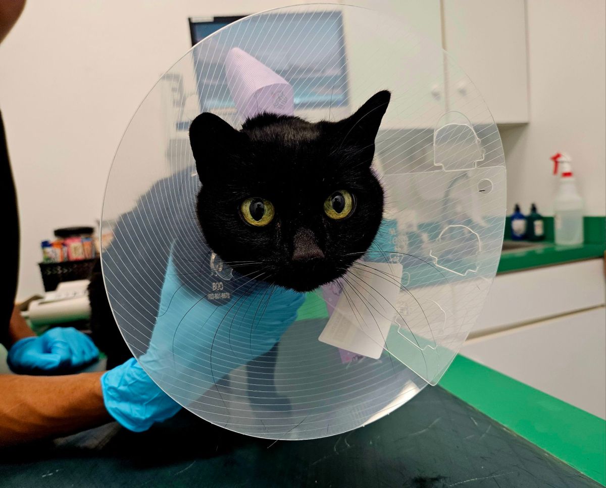 Boo’s Boo-Boo – For Many Moons