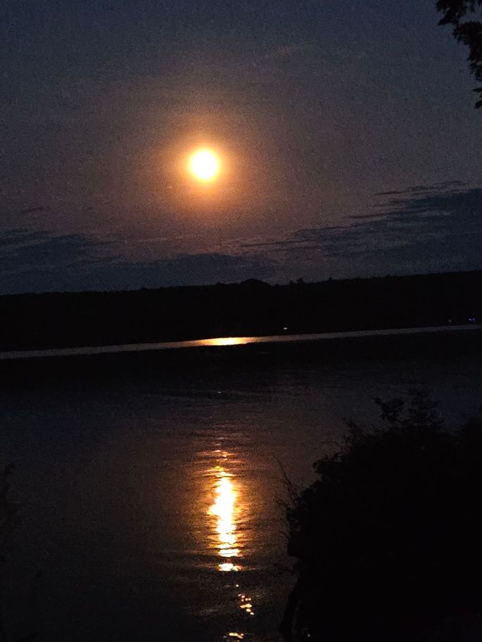 Wow. Nature’s Work. – For Many Moons